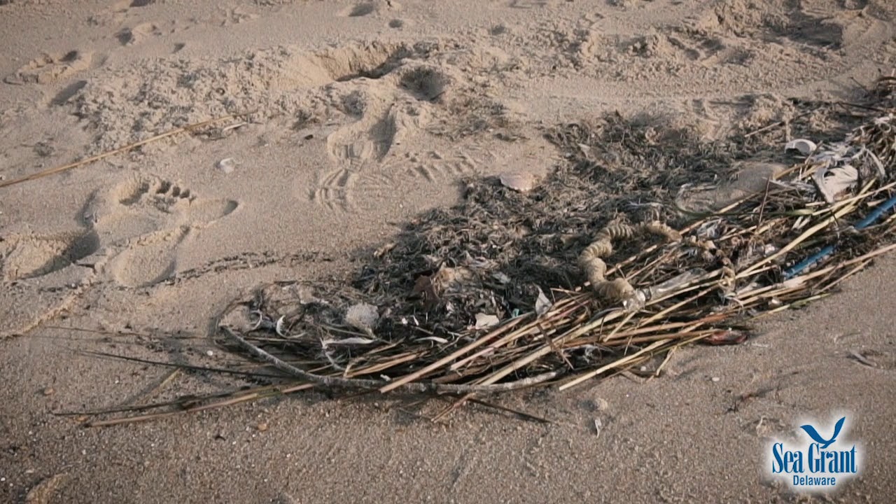 15 sec science wrack line - YouTube