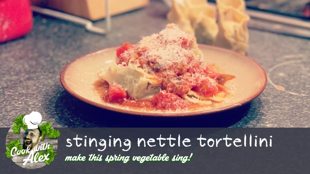 Stinging Nettle (4/4) — Nettle Tortellini from scratch! - YouTube