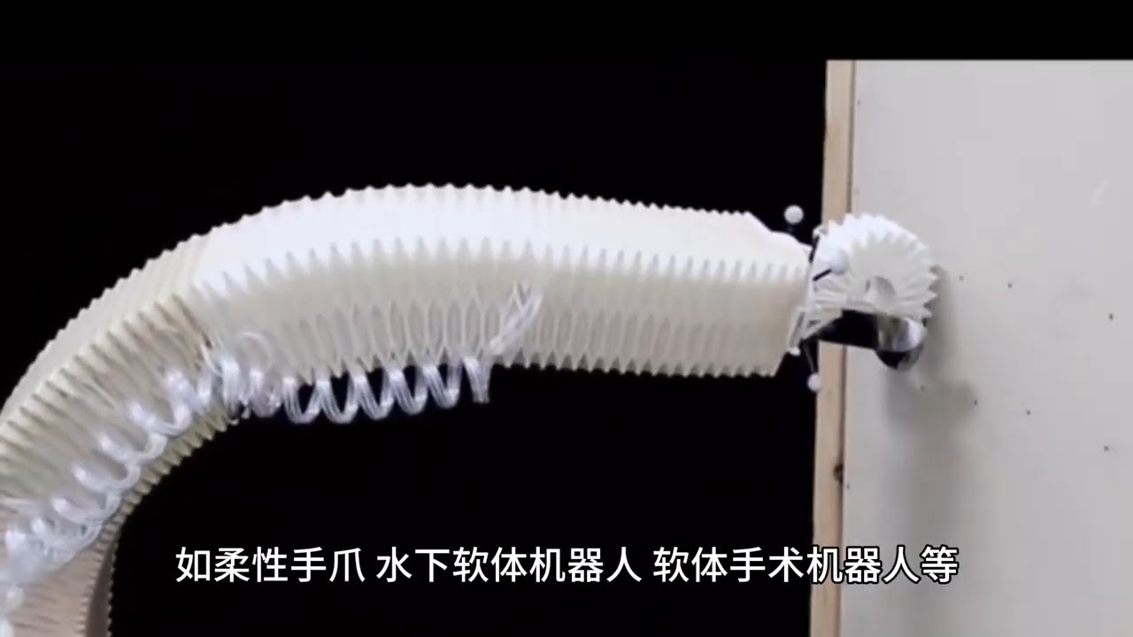 象鼻手臂软体机器人 | Elephant nosed arm soft robot - YouTube