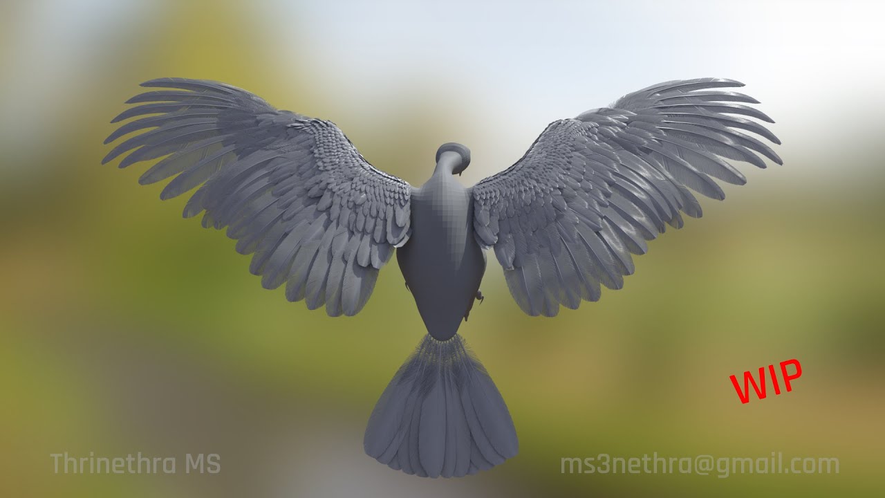 Eagle | Wing Fold updated | Yeti Feathers | Maya - YouTube