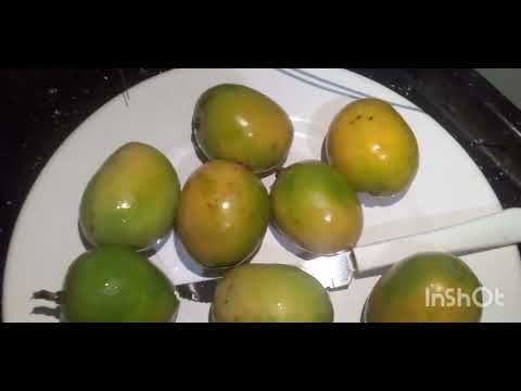 MINI MANGA..OU MANGA COQUINHO#seus beneficios - YouTube