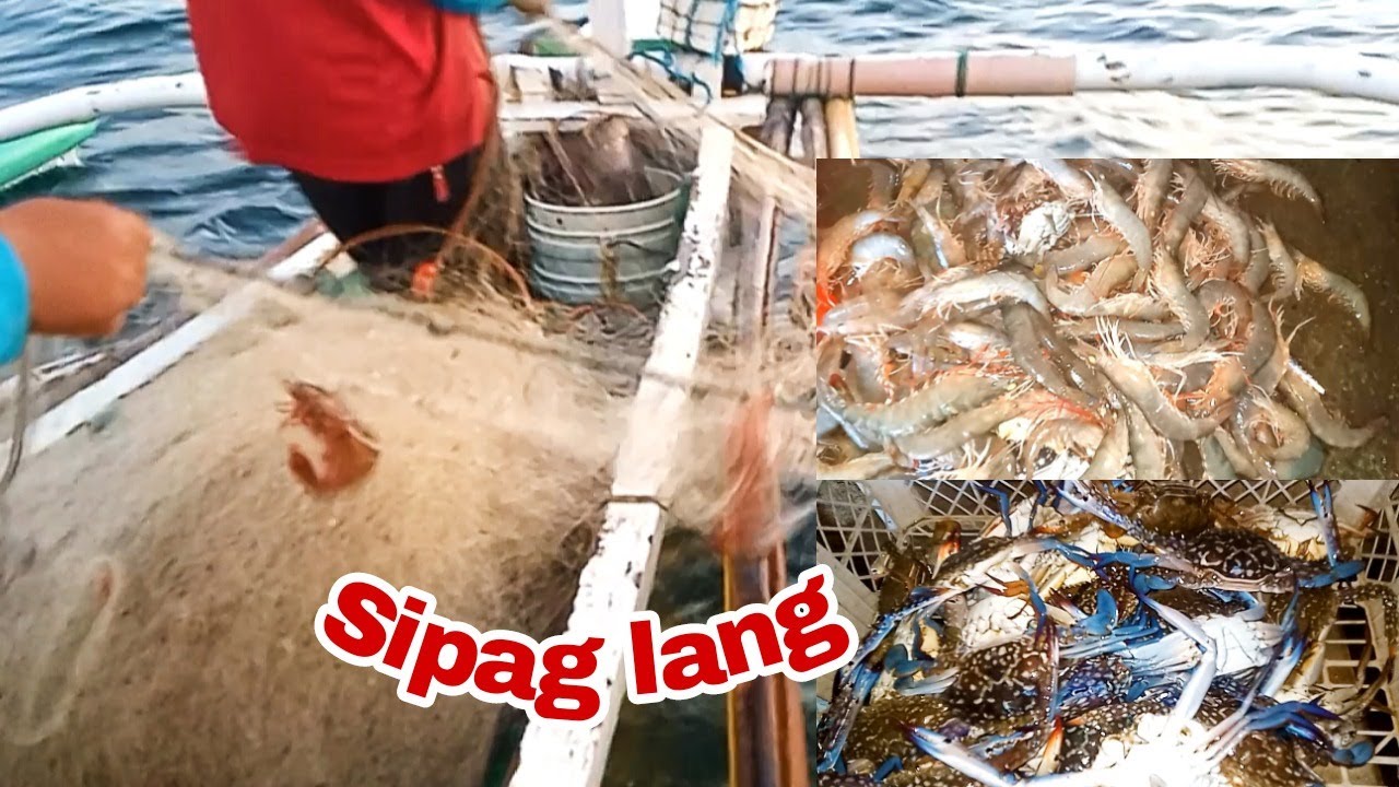 EP # 351 #fishing TAGAL NAGPA IKOT IKOT SA LAOT, ROSELL FISHING - YouTube