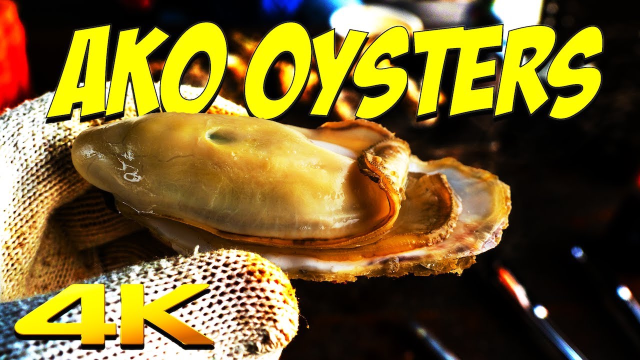 4K JAPAN | AKO, HYOGO by MOTORCYCLE - YouTube