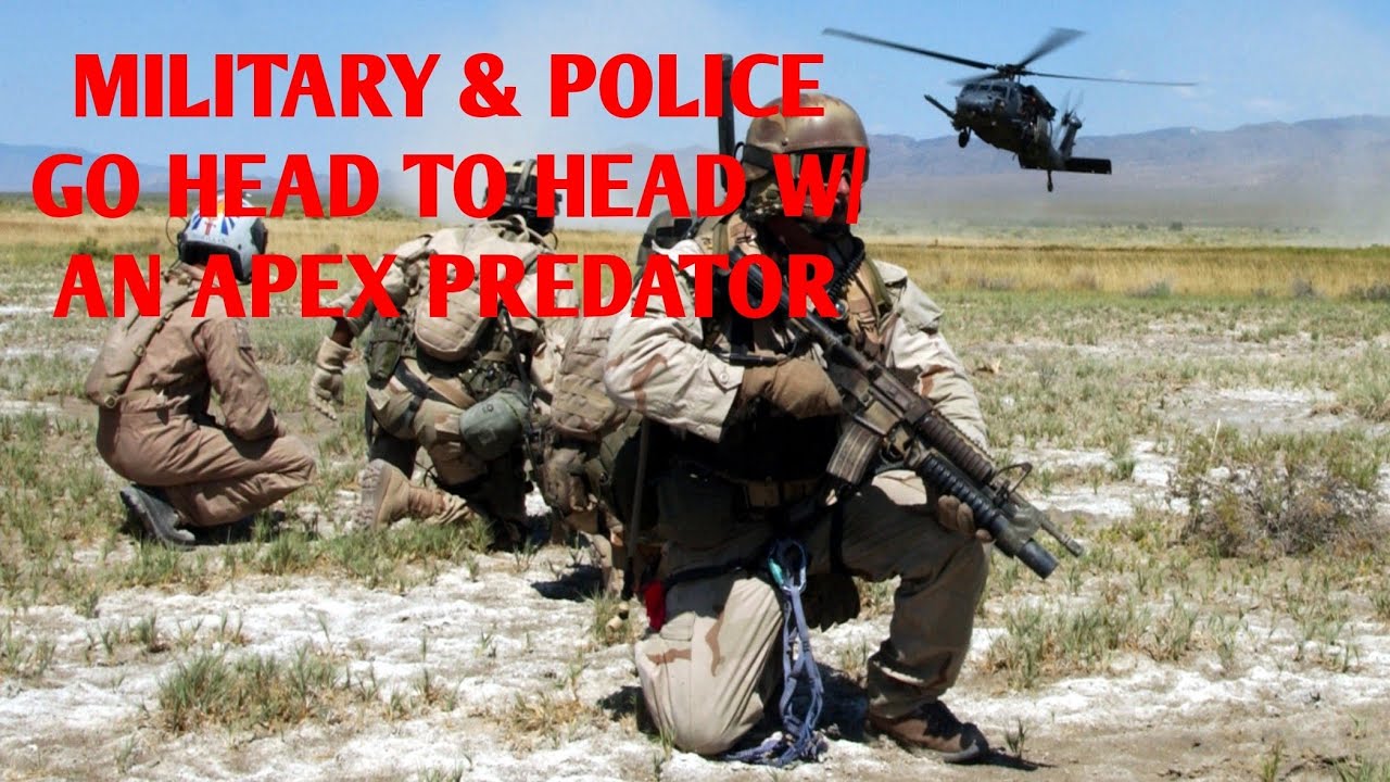 #DOGMAN, MILITARY & POLICE GO HEAD TO HEAD W/ AN APEX PREDATOR - YouTube