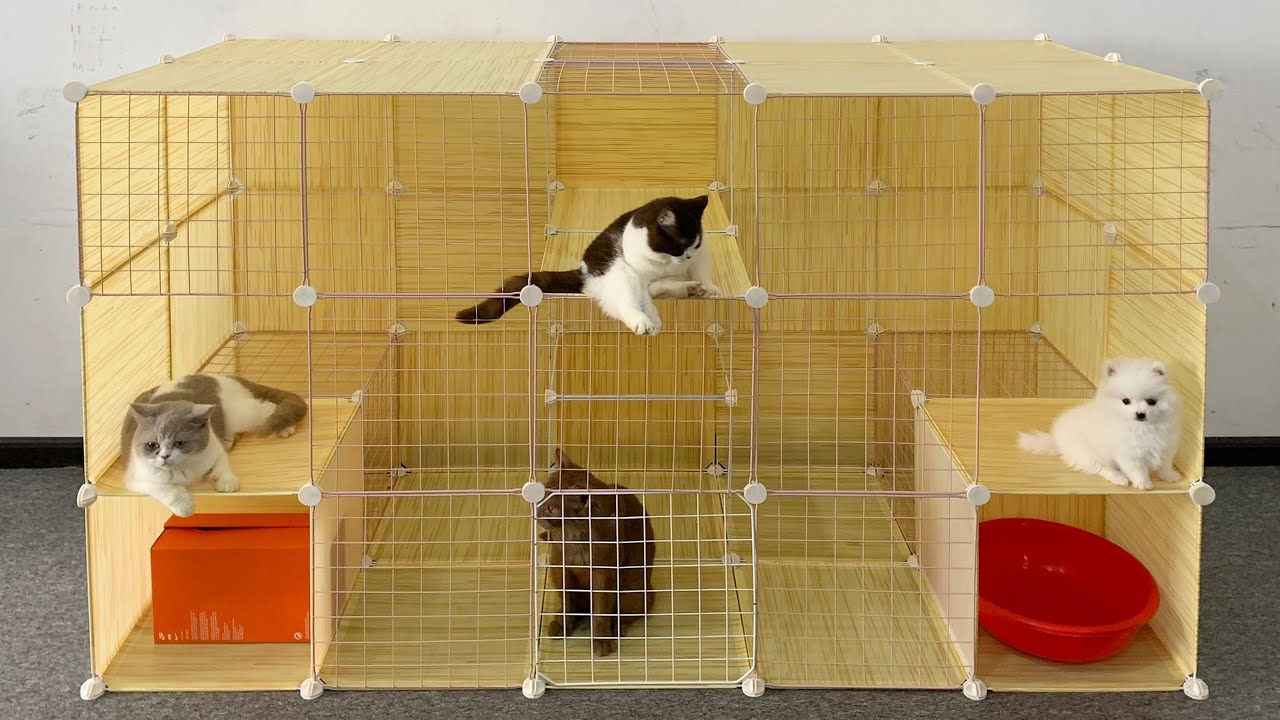 DIY - How To Make a Mobile Home for Pom Dogs - Cute Animal Home - YouTube