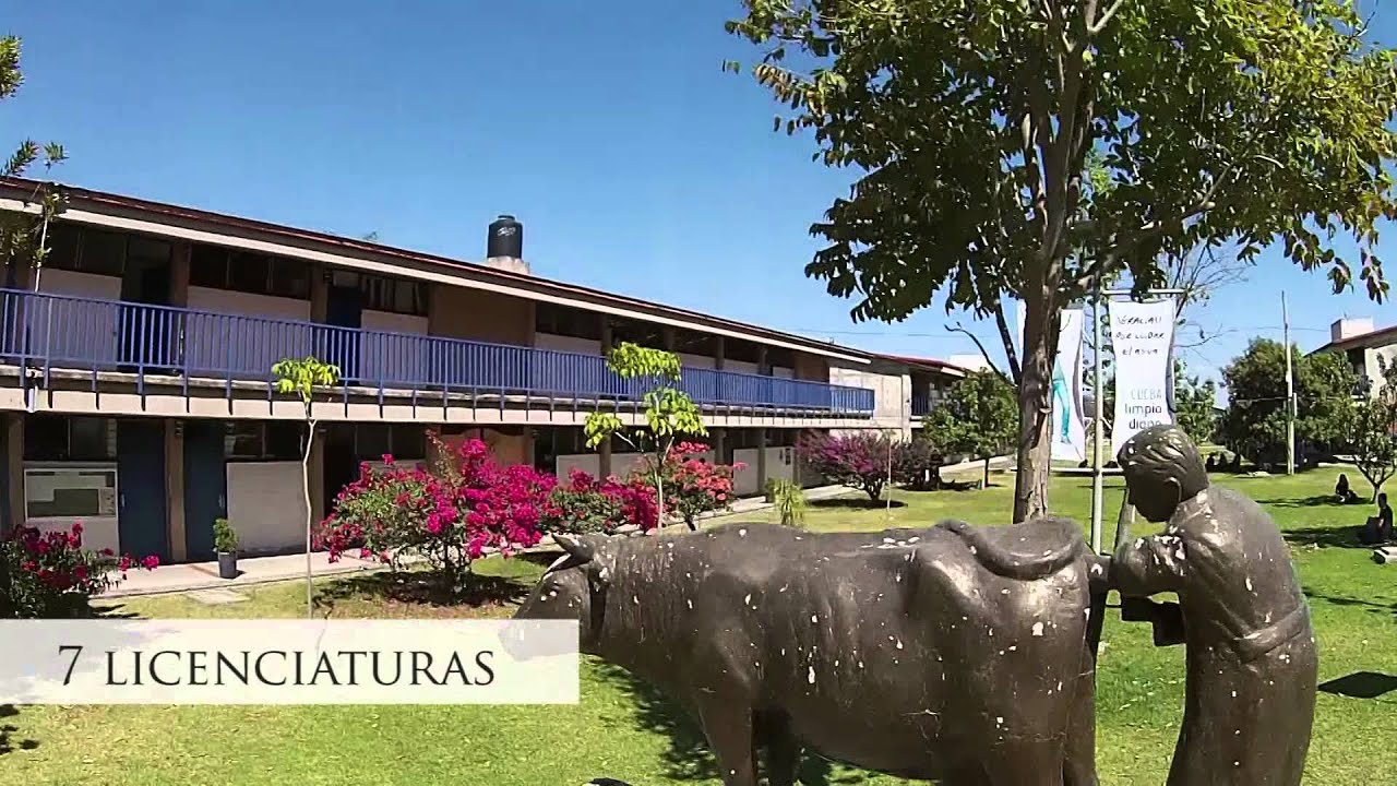 CUCBA 2015 - YouTube