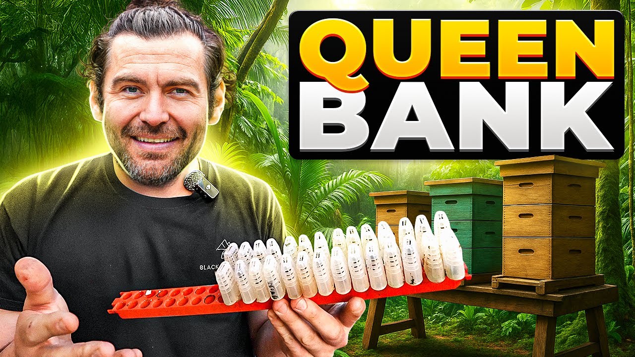 How To Make A Queen Bank - YouTube