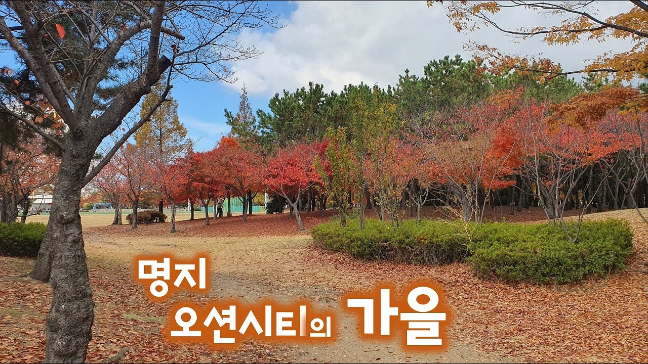 [명지빠들] 강서구 명지 오션시티의 가을 (명지 퀸덤 주변 풍경) Autumn in Myeongji Ocean City ...