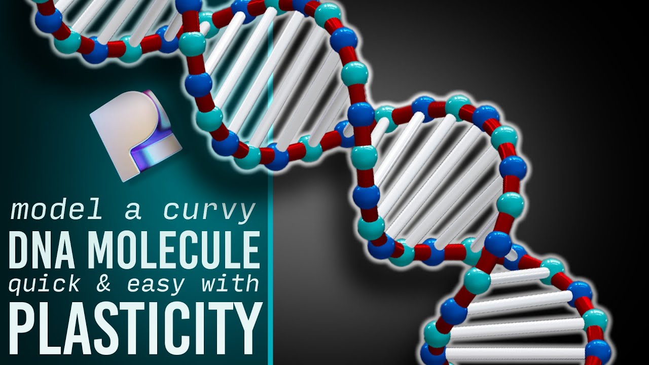 CAD Modeling a DNA Molecule with Plasticity - YouTube