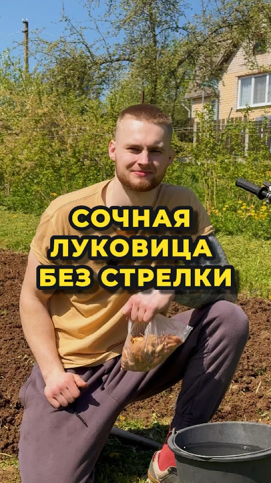 Секрет посадки лука севка для крупной сочной луковицы Youtube