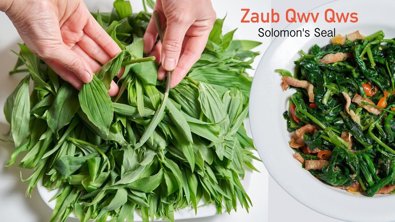 Solomon's Seal Recipe | Noj Zaub Qwv Qws puas zoo ntshav qab zib ...