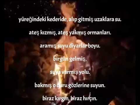 Ateş ile suyun aşkı***CESUR ŞERWAN