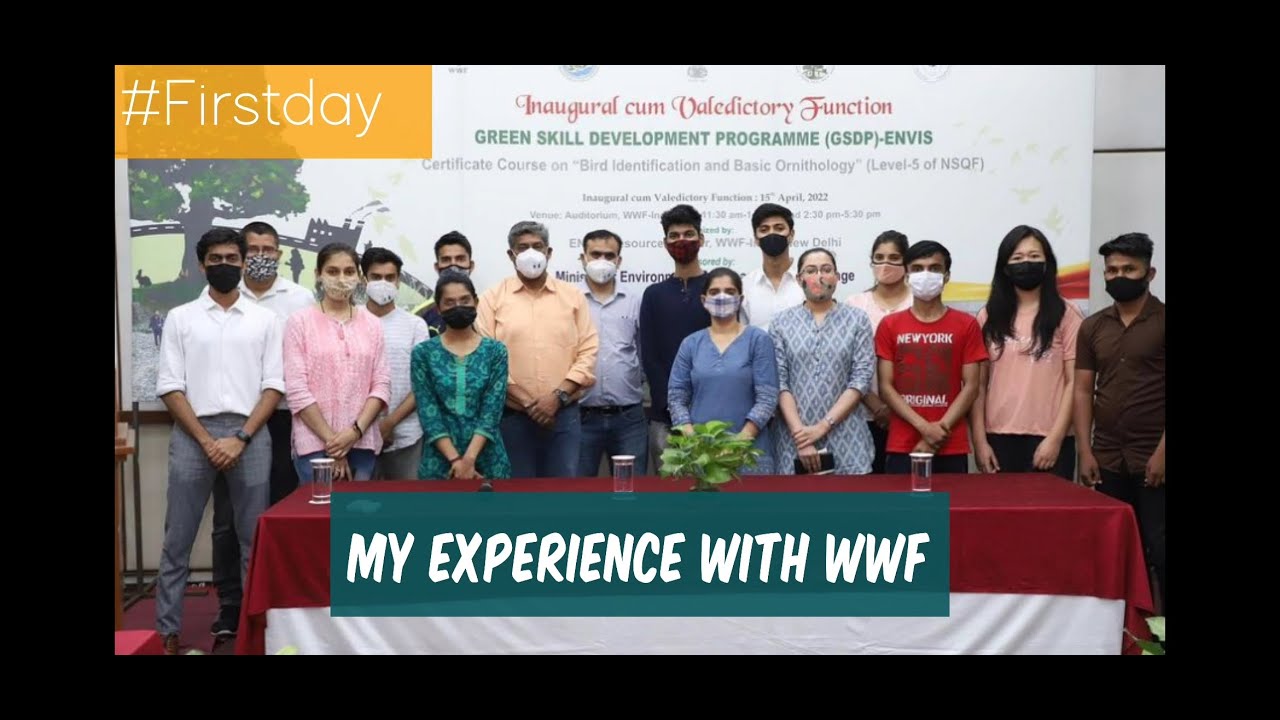 My experience with WWF (World Wildlife Fund) New Delhi | Day 1 ...