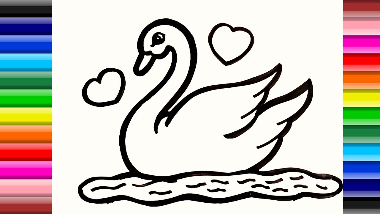 Haw to Draw Swan Painting and Colouring for kid's, Toddlers How to draw ...