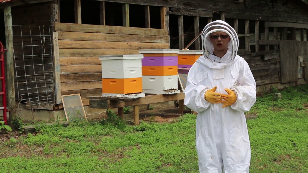 Wilson Oxner explains 4H Honey Bee Project - YouTube
