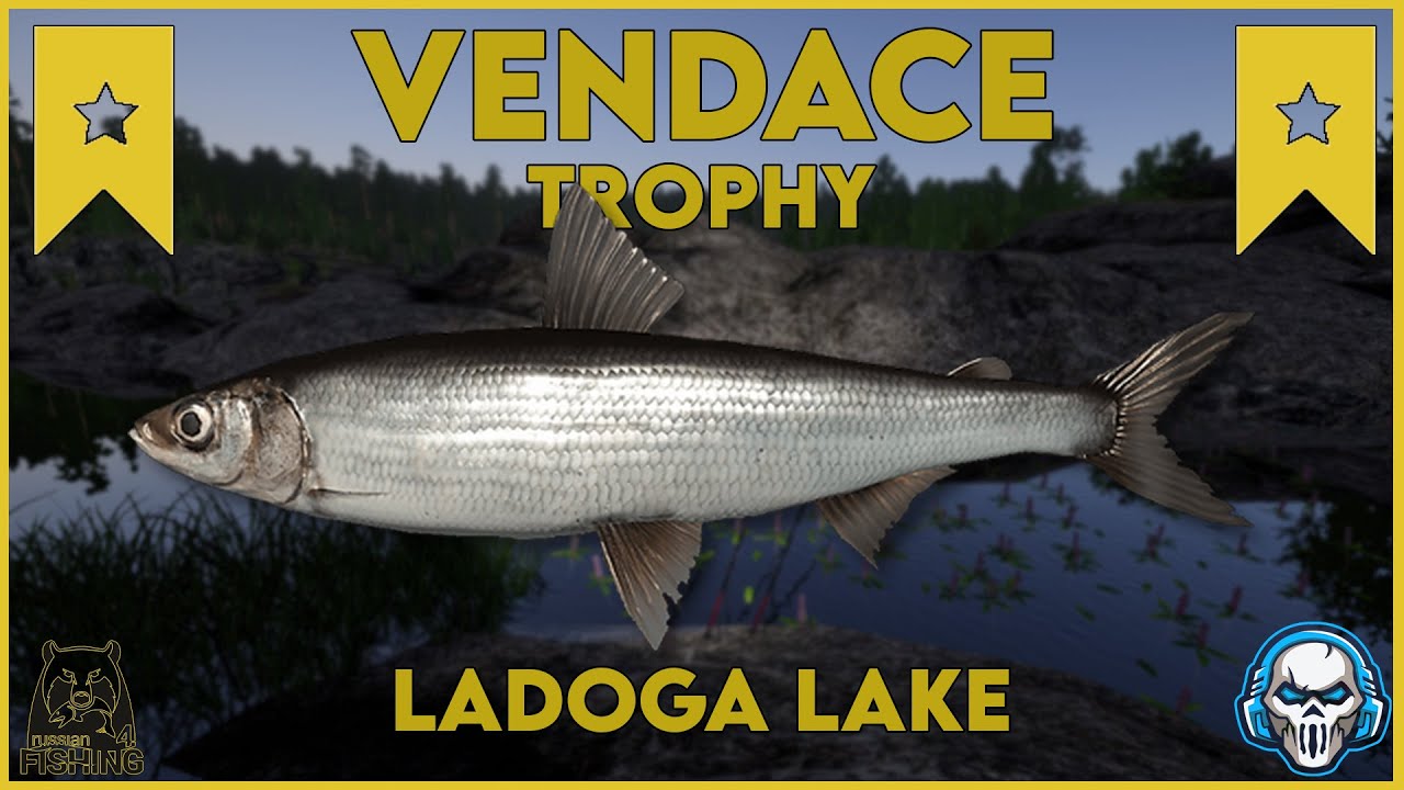 VENDACE TROPHY! LADOGA LAKE - Russian Fishing 4 #rf4 - YouTube