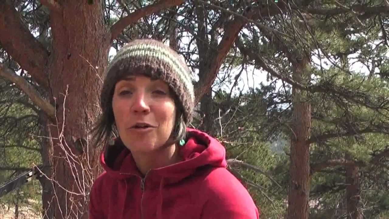 Quinn Brett & Timmy O'Neill climb the Nose in a day to raise money for ...