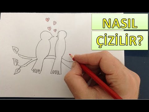 Aşık Güvercin Kuş Resmi Nasıl Çizilir? - çocuklar için eğitici videolar ve proje ödevleri