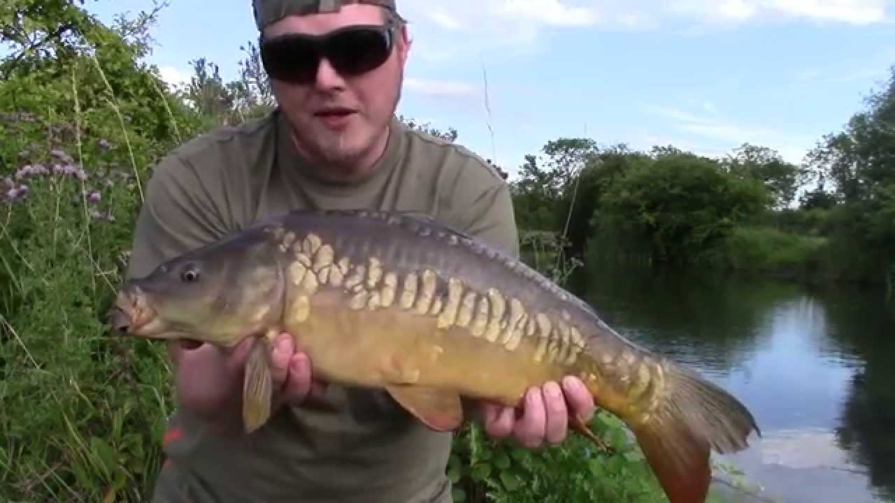 A Little Carp Fishing Surface Fun - YouTube