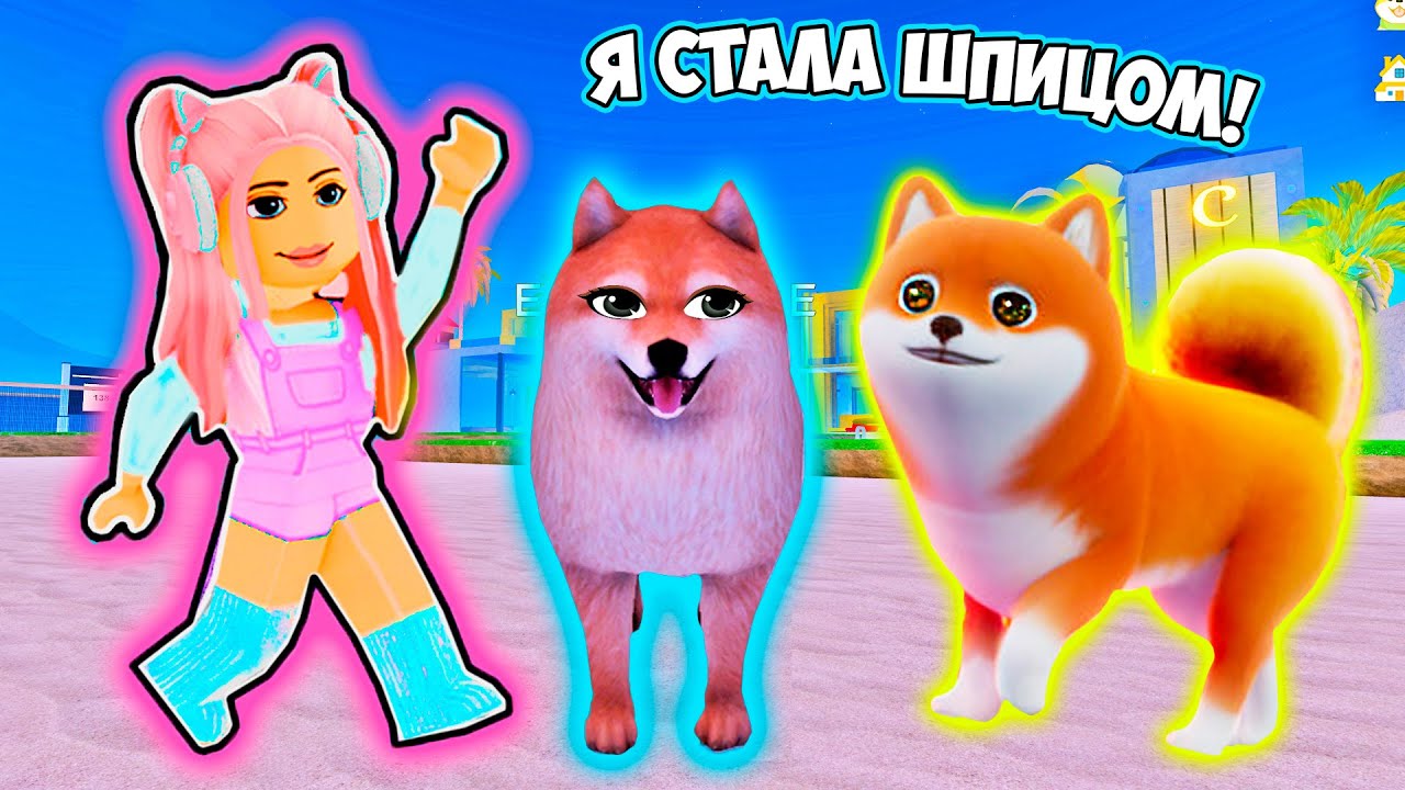 Я СТАЛА ШПИЦОМ В РОБЛОКС ! ПОСТРОИЛА ДВУХЭТАЖНЫЙ ДОМ В ROBLOX | Puppy ...