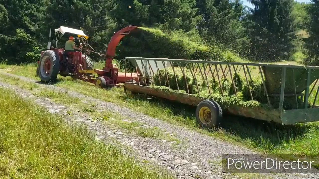 Spring Green Chopping - YouTube