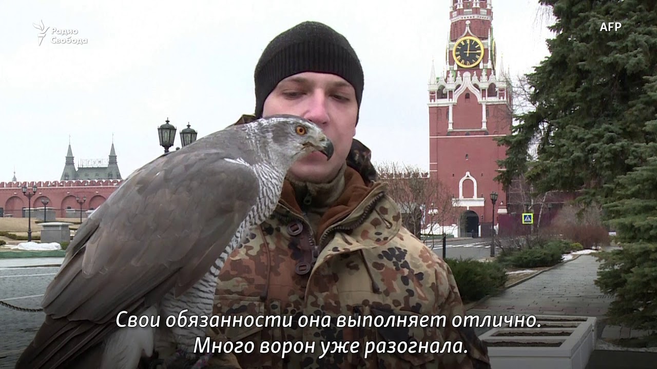 Ястребы в Кремле - YouTube