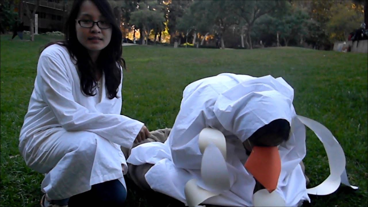 EEB 100, UCLA. Fixed Action Pattern - YouTube