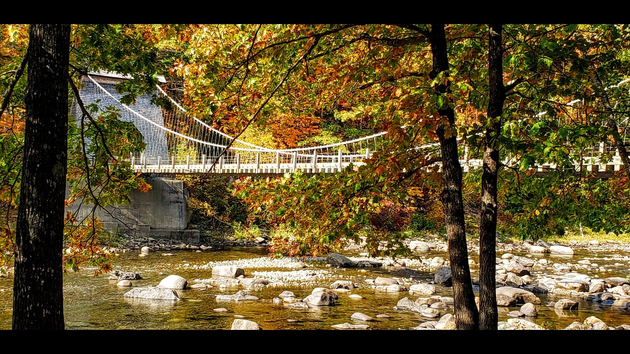 The Wire Bridge - YouTube