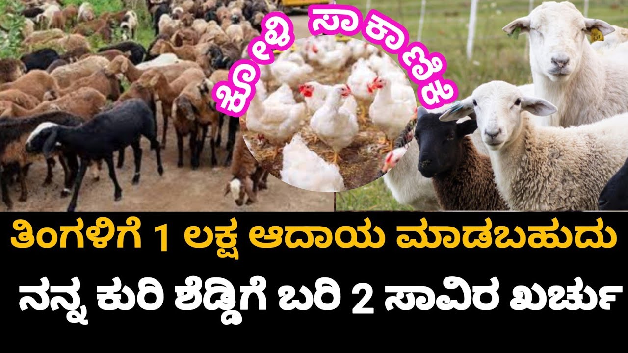 Integrated Goat And Poultry Farming - YouTube