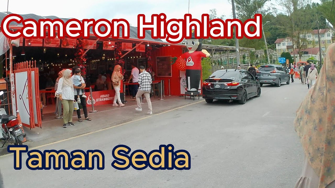 Taman Sedia, Cameron Highland - YouTube