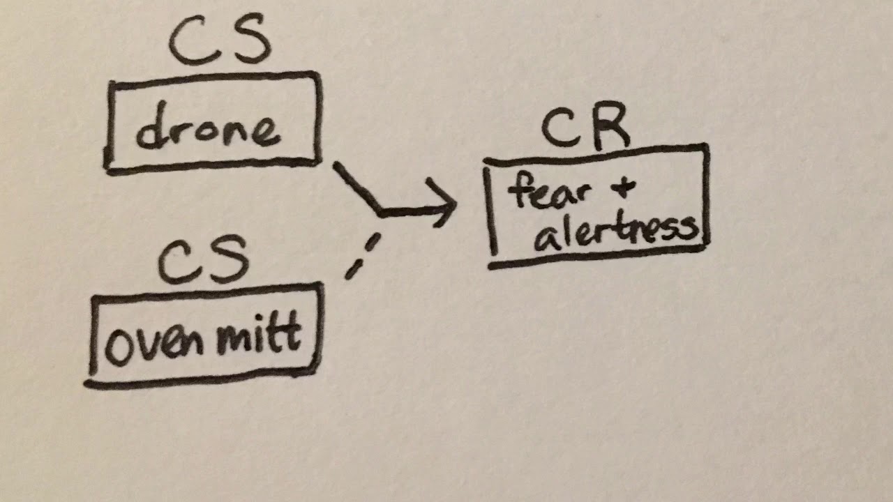 Classical Conditioning Video Project - YouTube