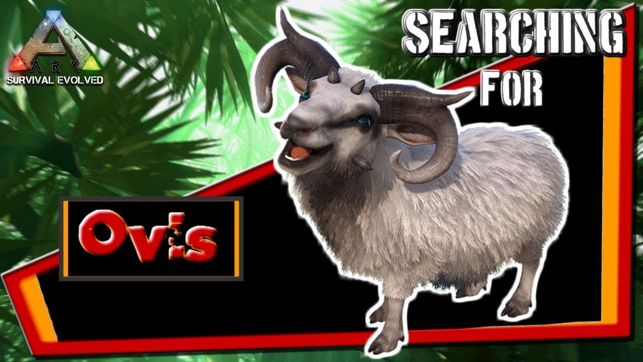 ARK Survival Evolved: Searching for Ovis | Chill Tame | RAGNAROK | PS4 ...
