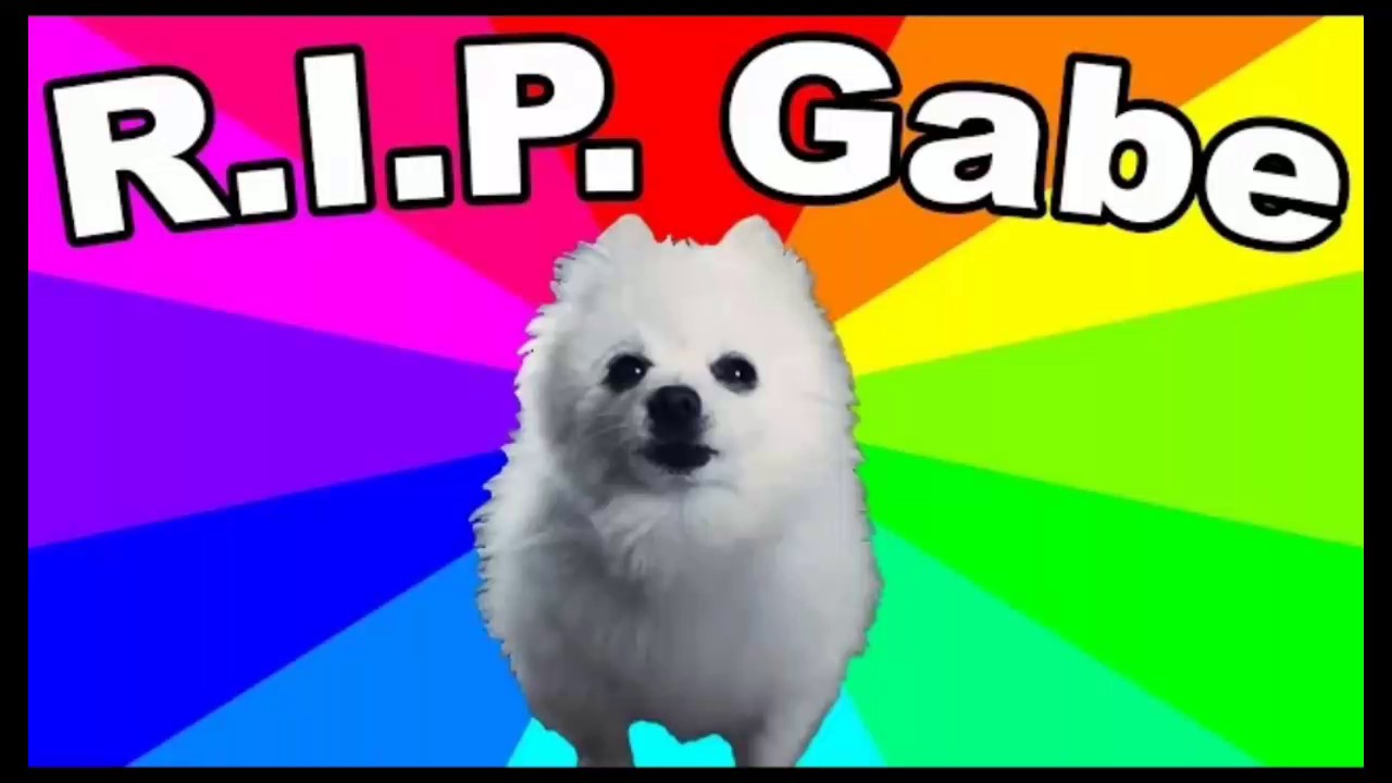 RIP Gabe The Dog - YouTube