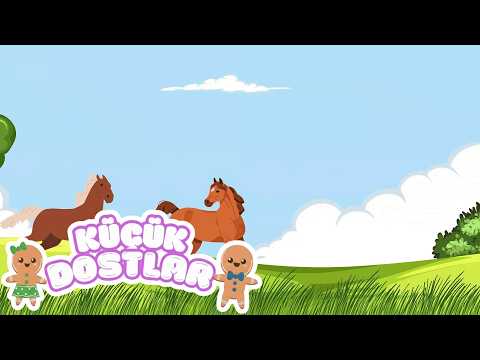 🌈🎵 Renkler, Harfler ve Hayvanlar Şarkılarıyla Eğlence! Küçük Dostlar