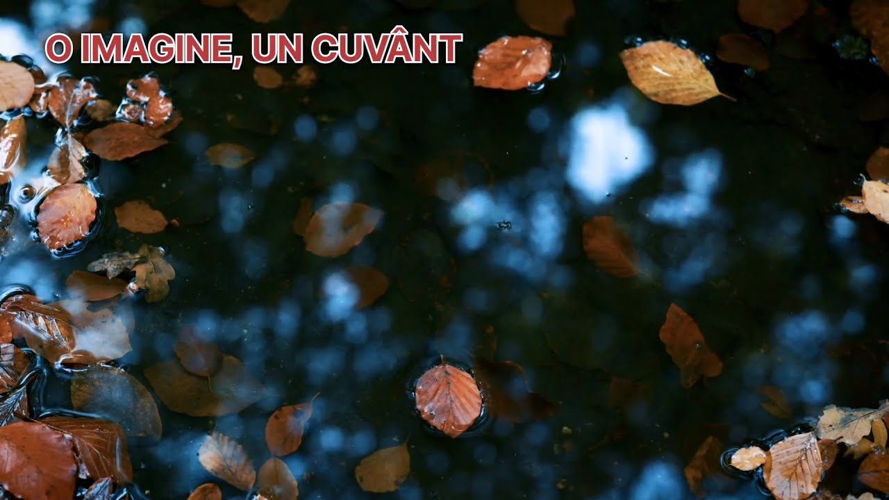 O IMAGINE, UN CUVÂNT - 05 11 2022 - YouTube