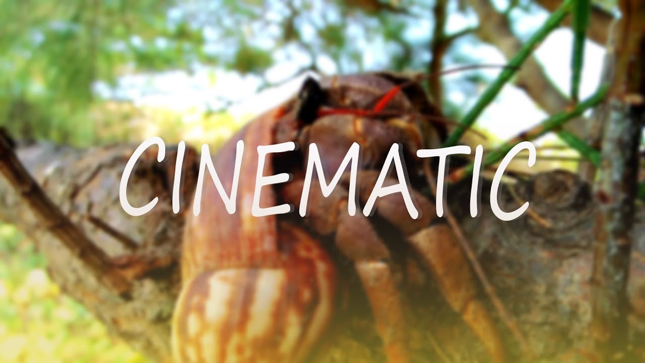 Oppo A37 Cinematic video test - YouTube