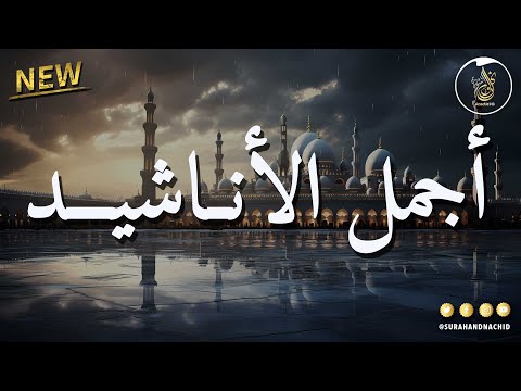 Anachid HD Beautiful Nasheed 2024 | كل يوم انشودة - أجمل أناشيد قد تسمعها في حياتك