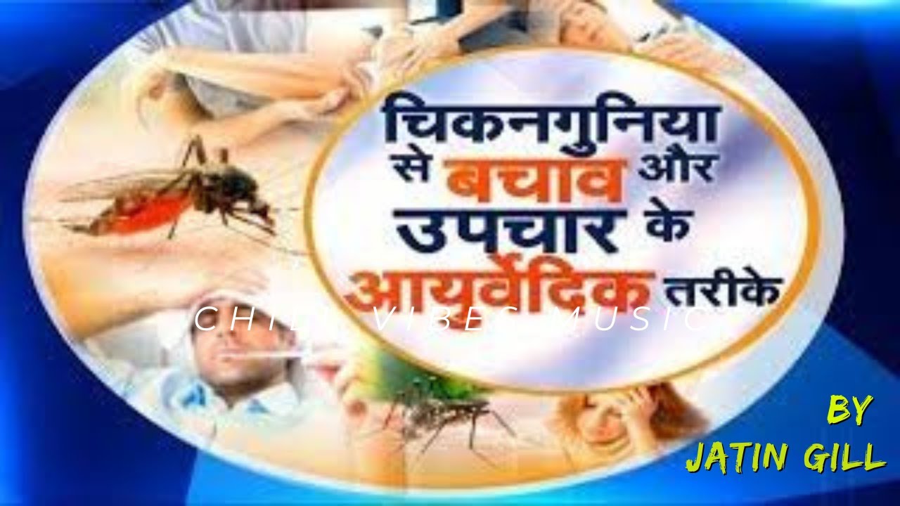 chicken guniya चिकनगुनिया की सबसे अच्छी दवा कौन सी है? - YouTube