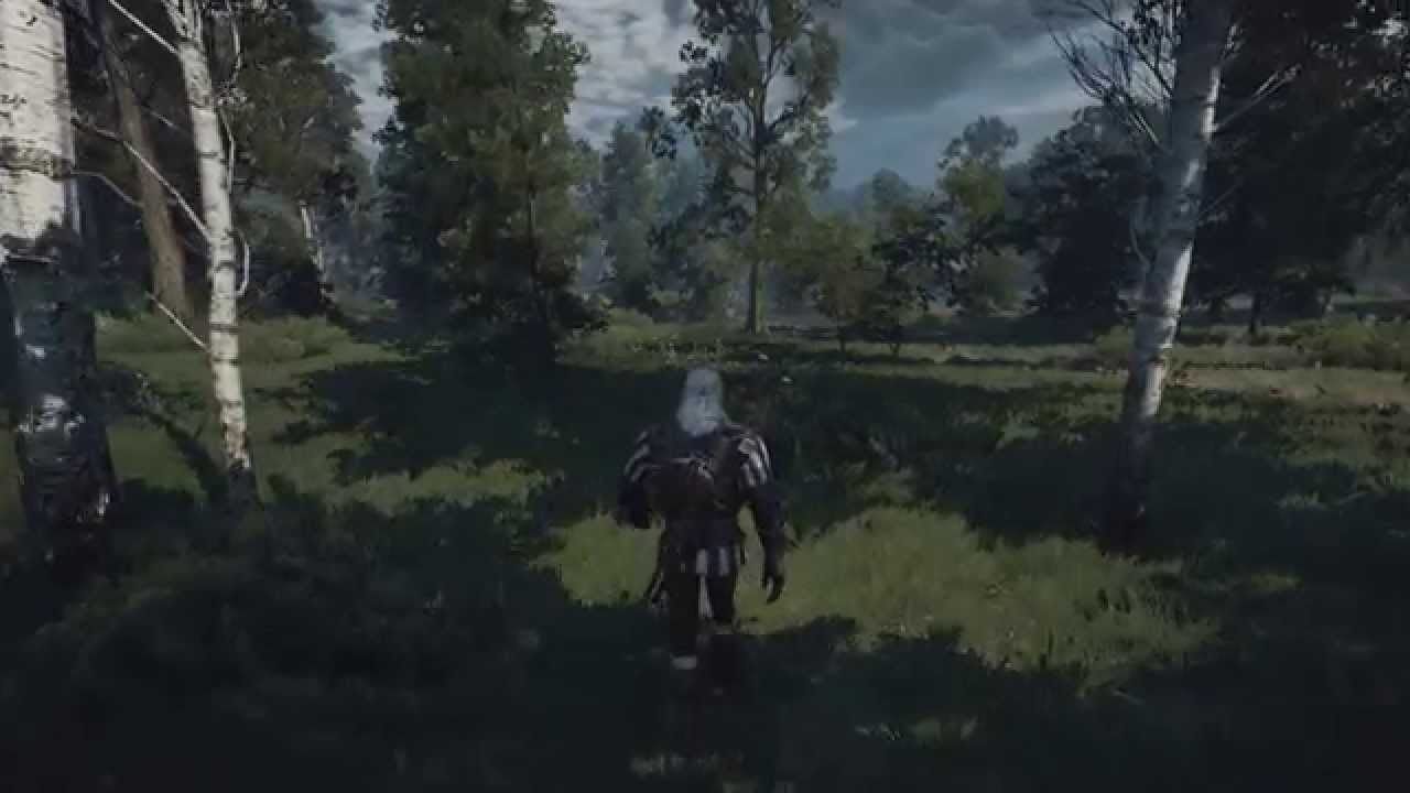 Witcher 3 ReShade - Harmonic Colors and Contrast - YouTube