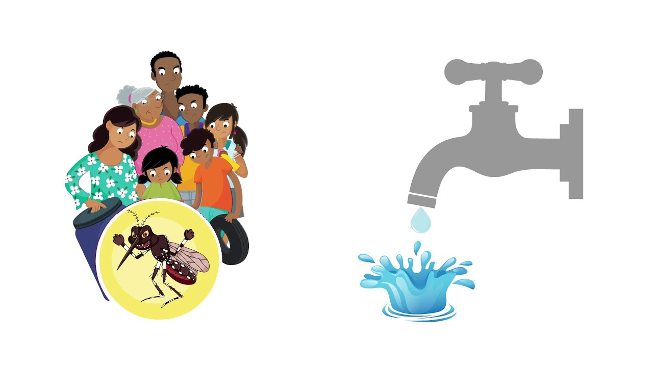 ANIMACION ZIKA 06 - YouTube