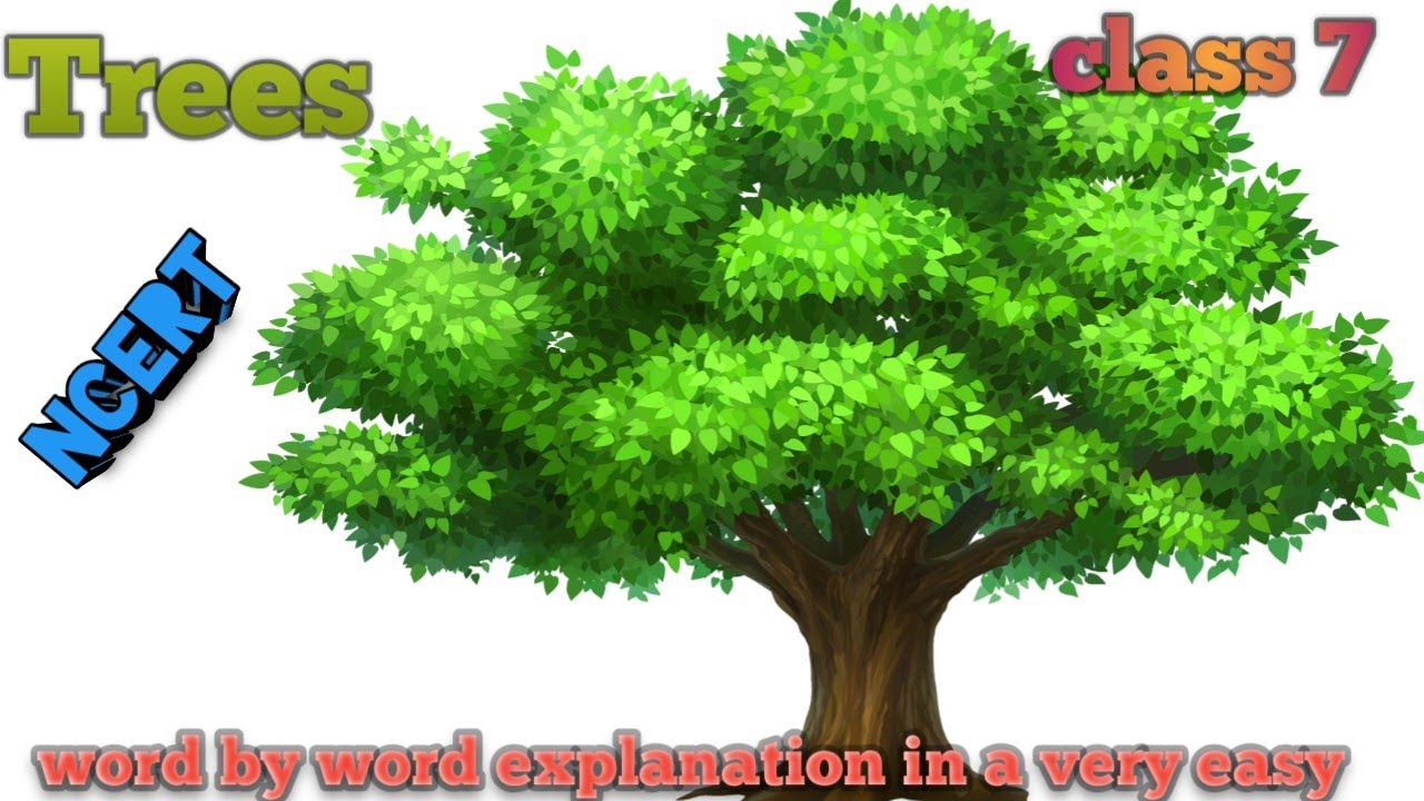 Trees Class 7 English Unit 5 Poem NCERT Word By Word Explanation In trees-class-7-english-unit-5-poem-ncert-word-by-word-explanation-in