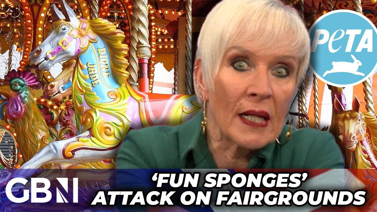 'FUN SPONGES' - Fairgrounds under THREAT from animal rights activists ...
