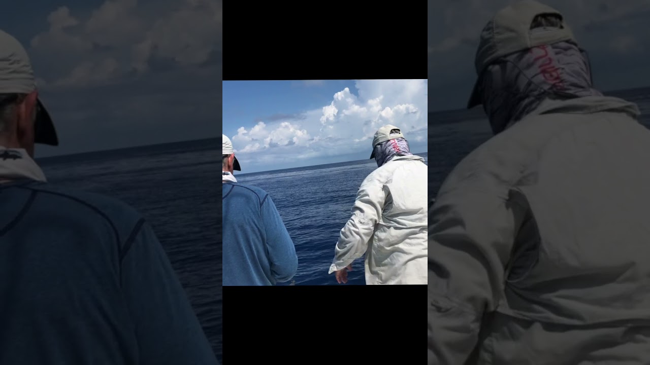 5-7-21 Gordon fly fishing with Gary - YouTube