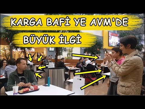 Karga ile AVM ' ye Gittik-MC DONALDS 'da yemek yedik / KARGA BAFİ