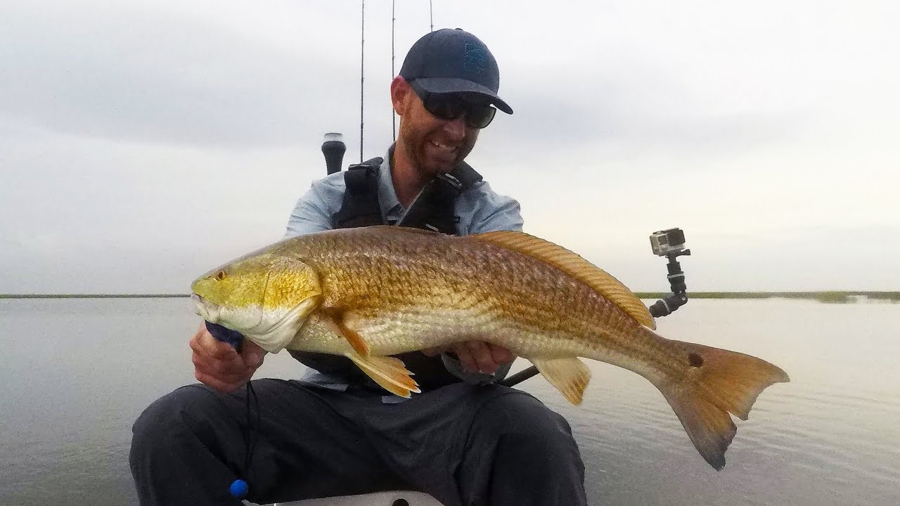Catch & Cook: Louisiana Redfish on the Half Shell | Field Trips with ...