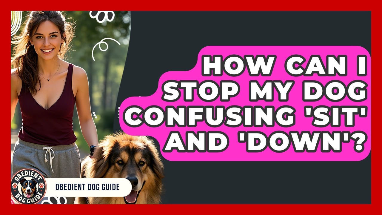 How Can I Stop My Dog Confusing 'sit' And 'down'? - Obedient Dog Guide ...