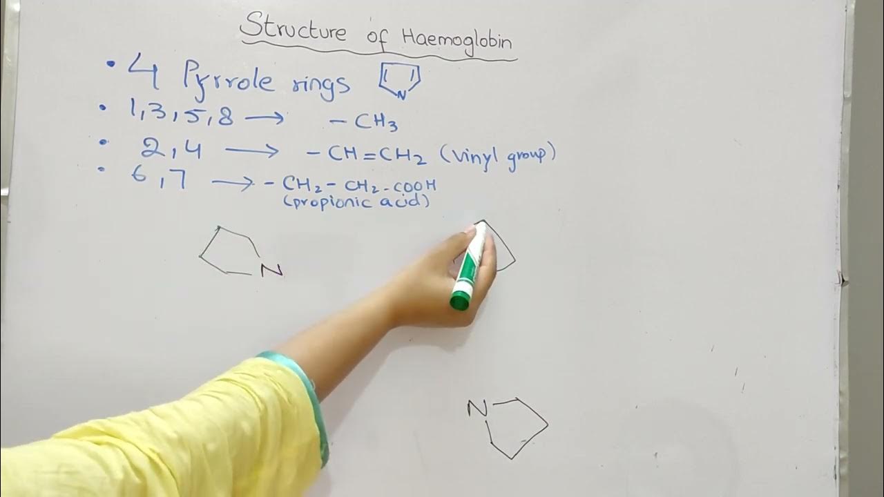 How to draw structure of hemoglobin in 5 mins | Trick to learn structure of hemoglobin - YouTube