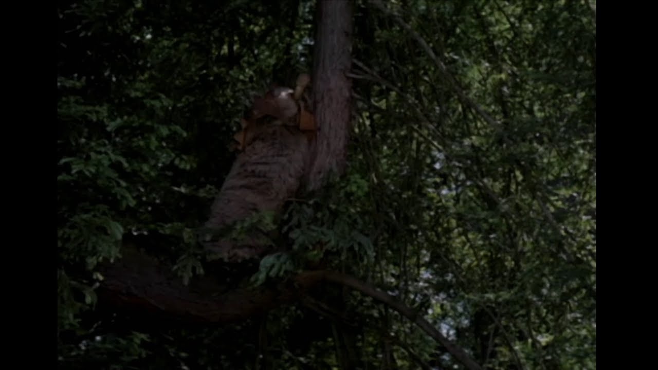 Ch. 16: Endor: The Battle of Endor (Rebels) - Star Wars (Classic ...