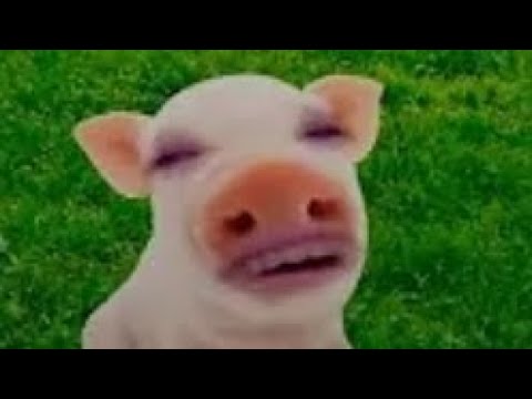 Бульк - YouTube