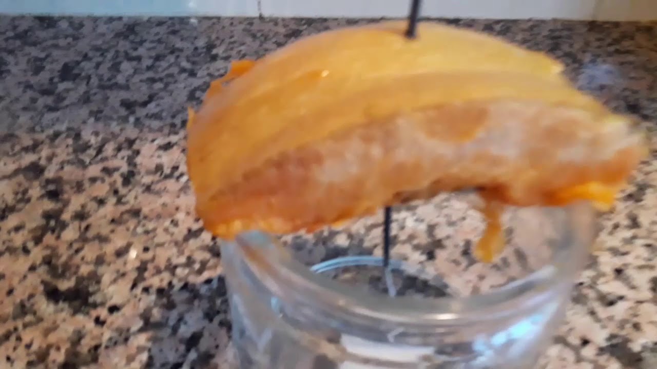 Percutaneous tract dilation training on a pumpkin - YouTube